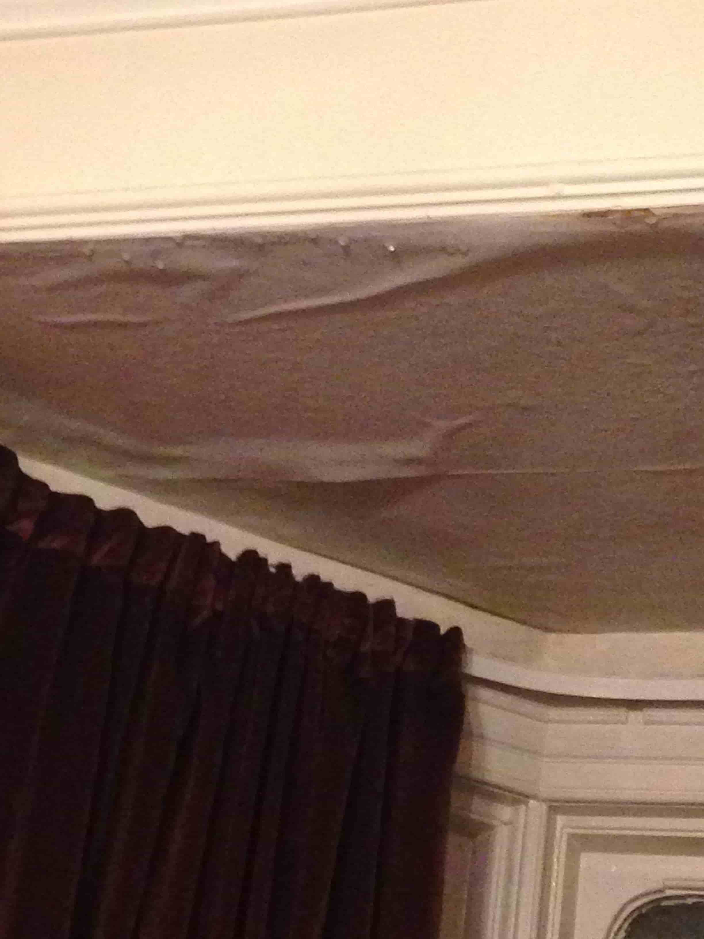 Blog - Bay window damp-min