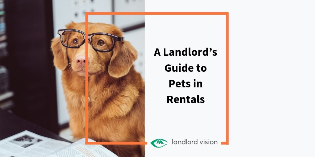 Blog - Pet Guide Twitter