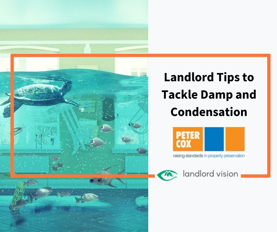 Blog - Landlord Tips to Tackle Damp and Condensation