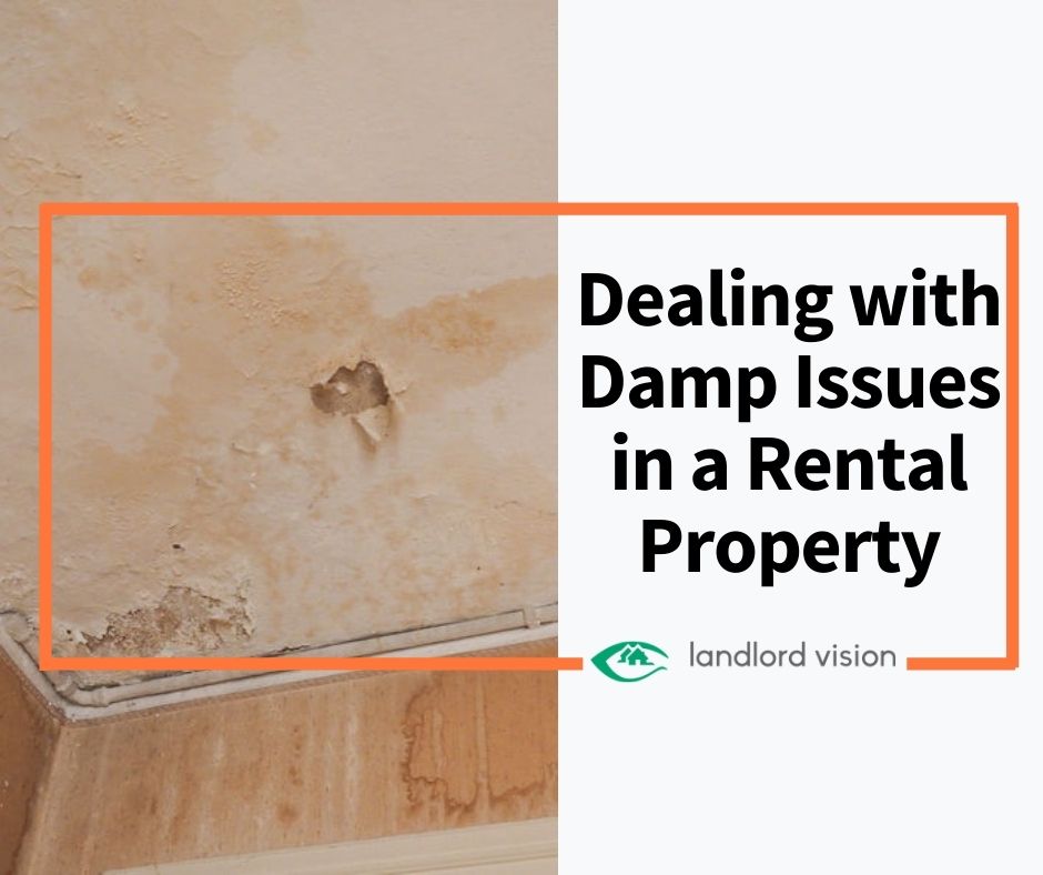 Dealing with Damp Issues in a Rental Property - Landlord Insider