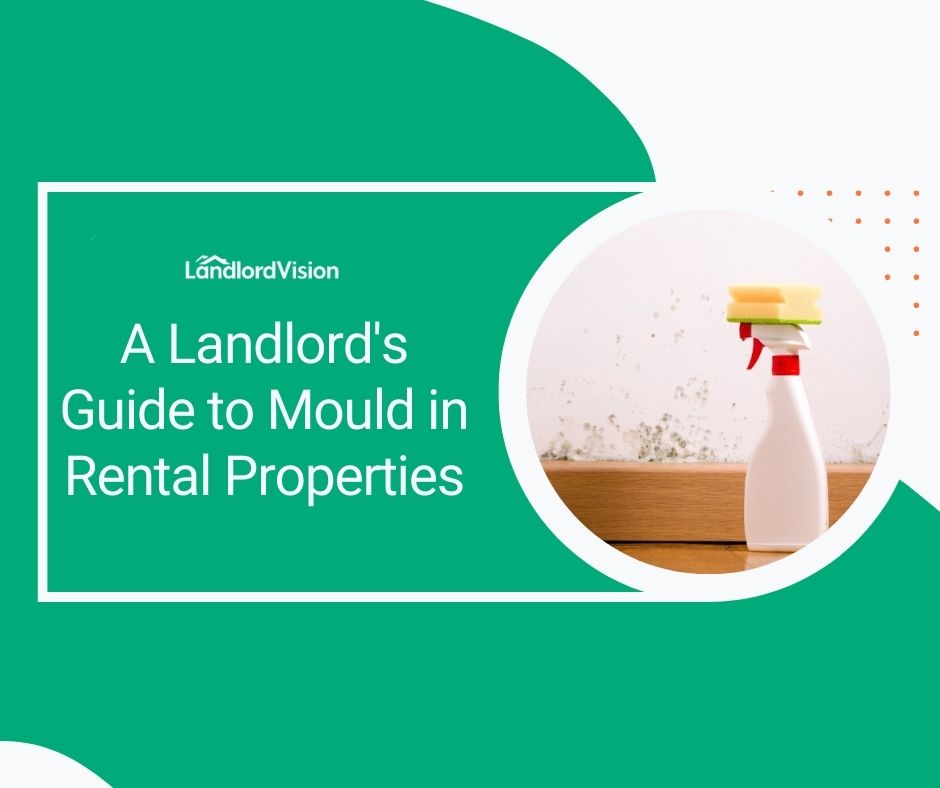 A Landlord's Guide to Mould in Rental Properties - Landlord insider