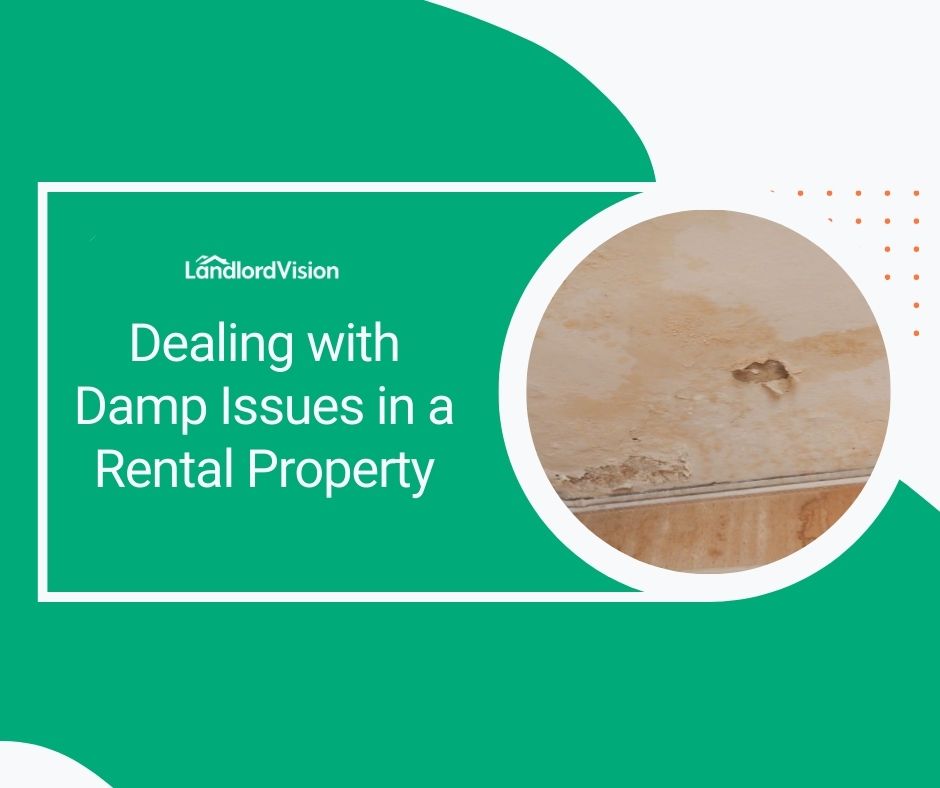 Dealing with Damp Issues in a Rental Property - Landlord insider