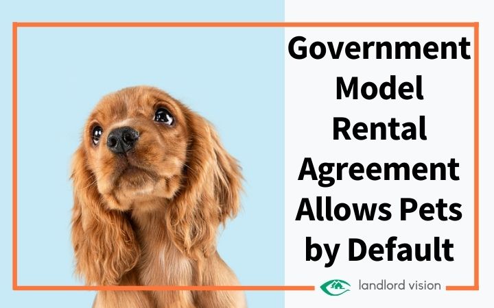 Are Landlords Liable For Tenants Dogs
